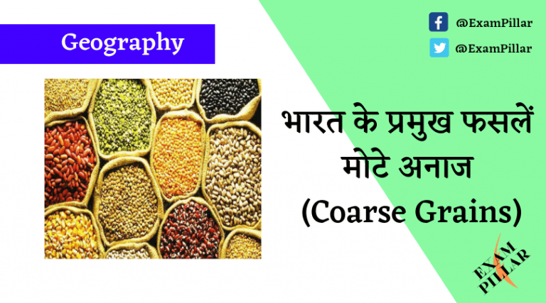 मोटे अनाज (Coarse Grains) | TheExamPillar